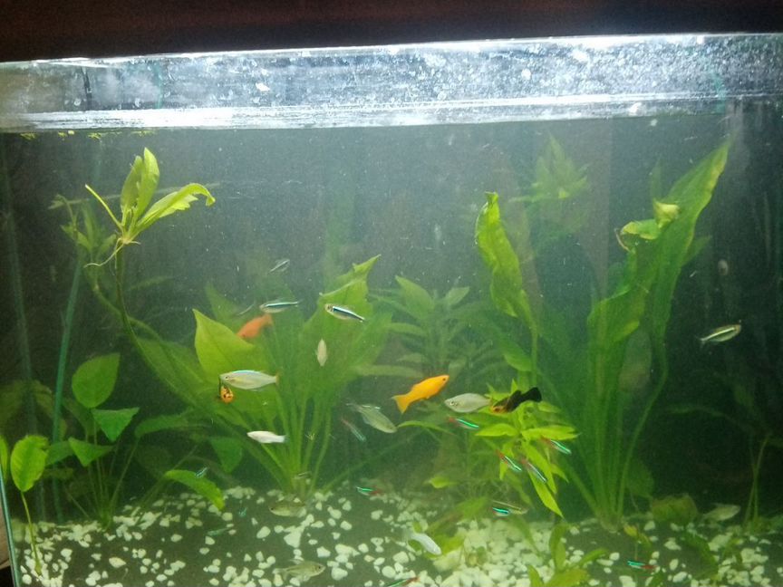 Аквариум 120литров с тумбой и крышкой