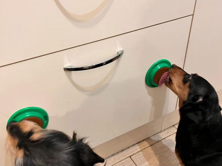 Лакомства для кошек и собак