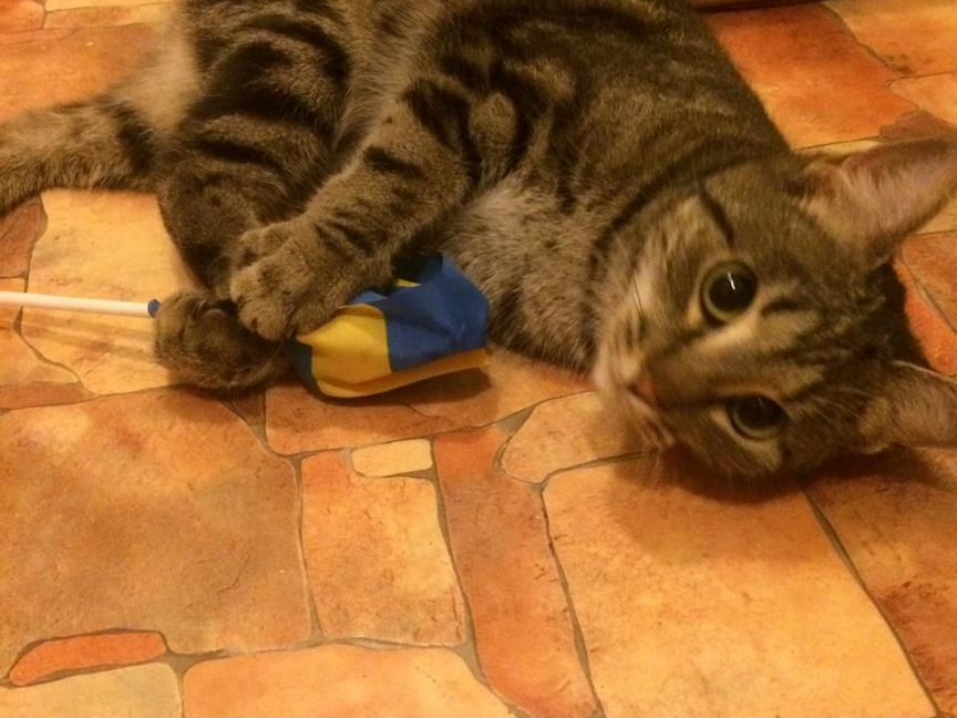 Малышка Марта ищет дом