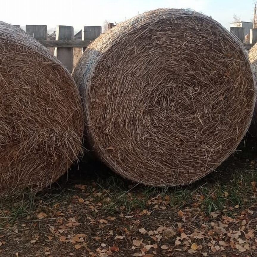 Солома в рулонах
