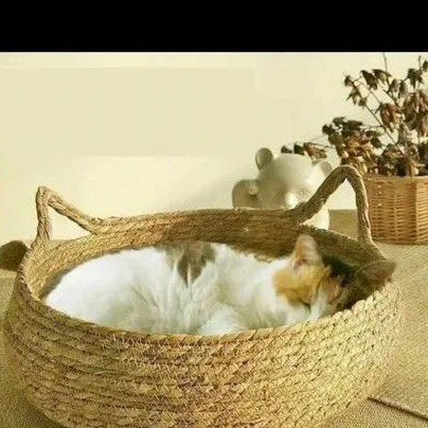 Гнездо для животных