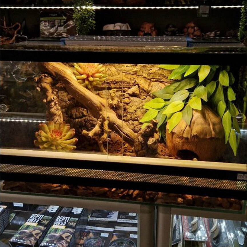 Террариумы