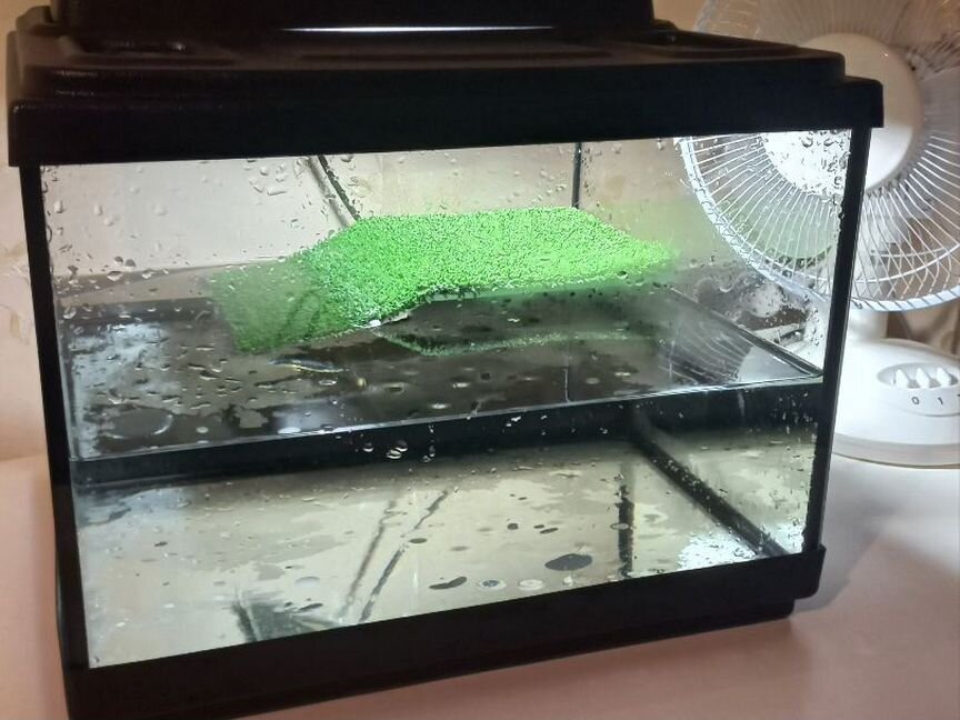 Террариум для Черепашки