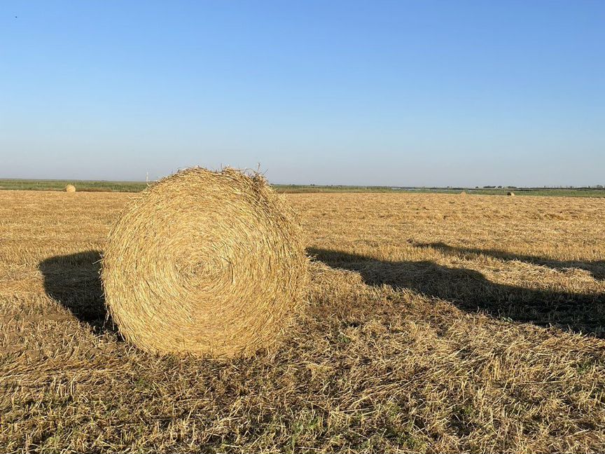 Сено