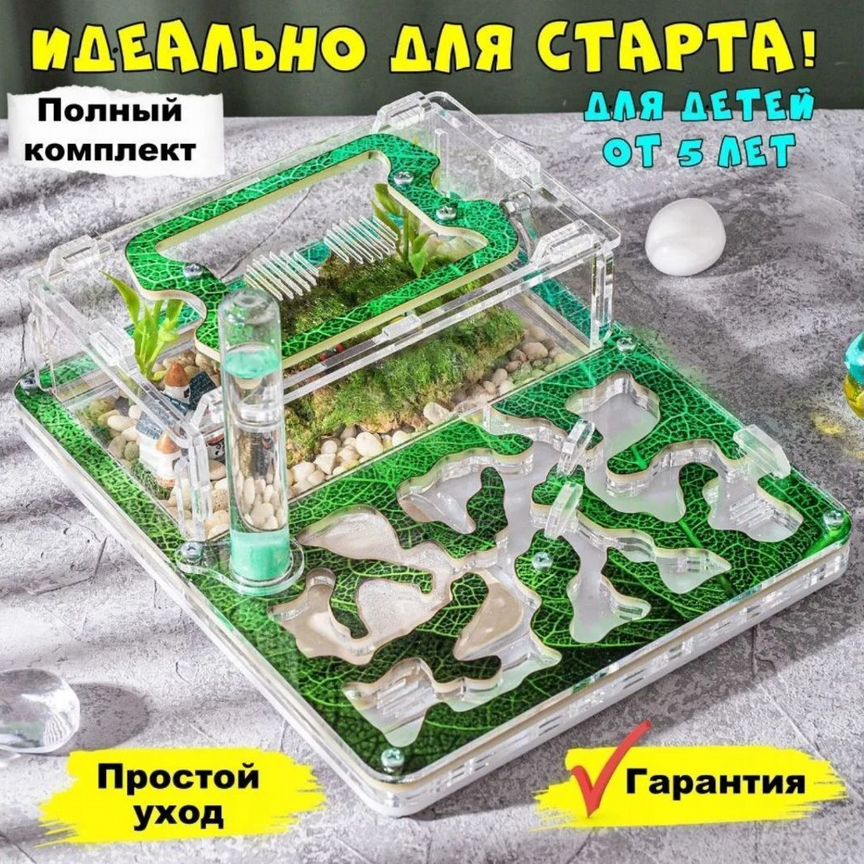 Муравьиная ферма без муравьев (новая)