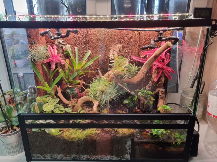 Террариум флорариум