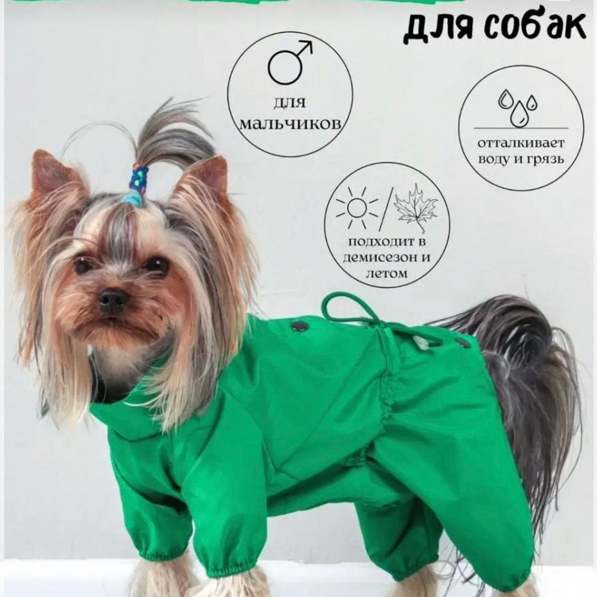 Дождевик Yoriki для собак мелких пород мальчиков M