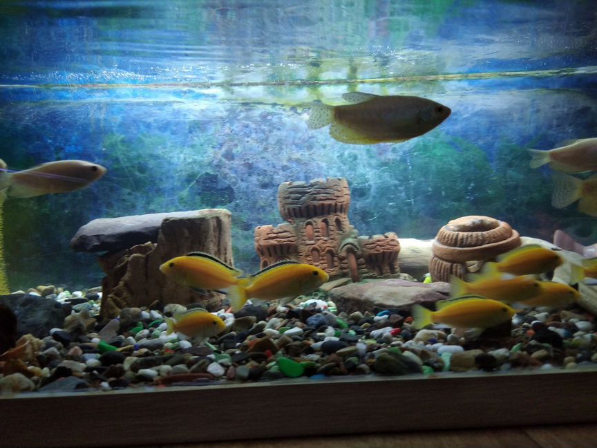 Украшение для аквариума