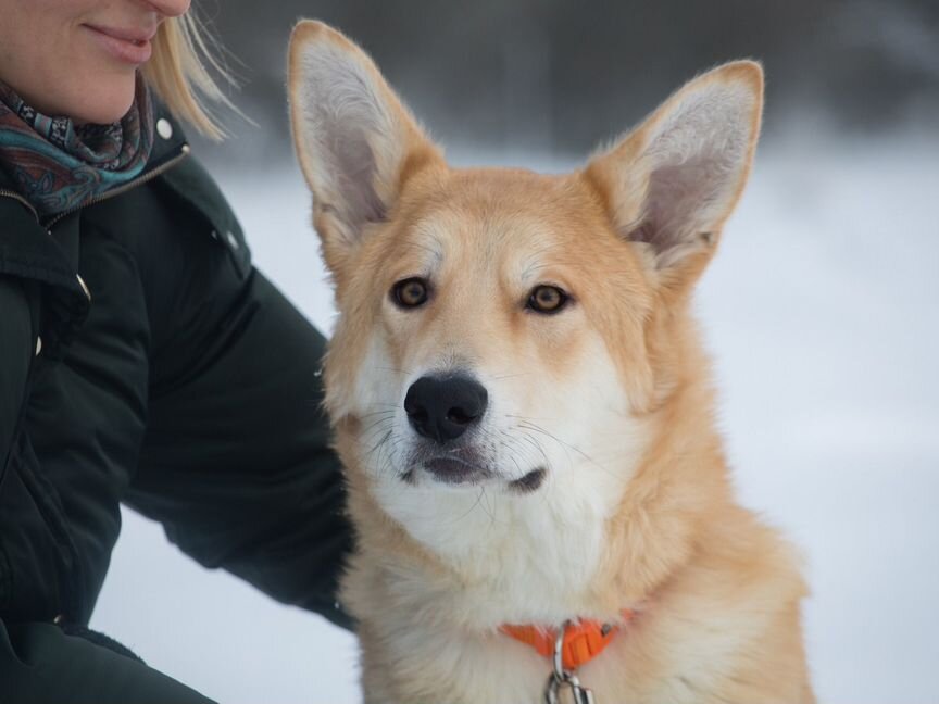 Подарите Марчелу дом