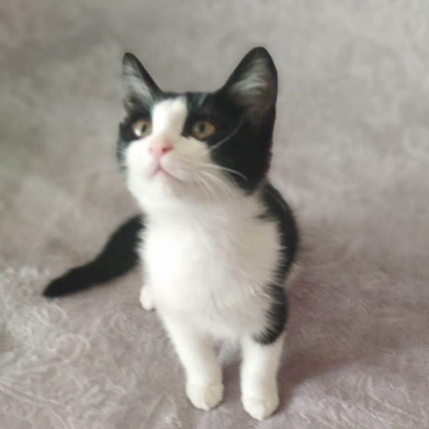 Люди, я очень хороший