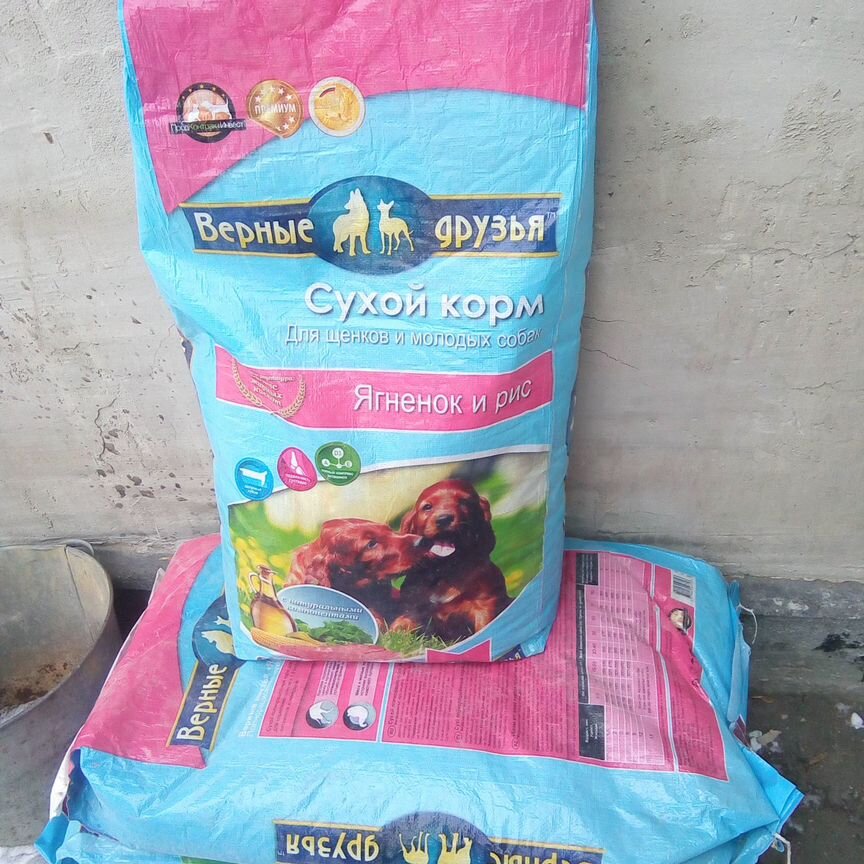 Верные друзья