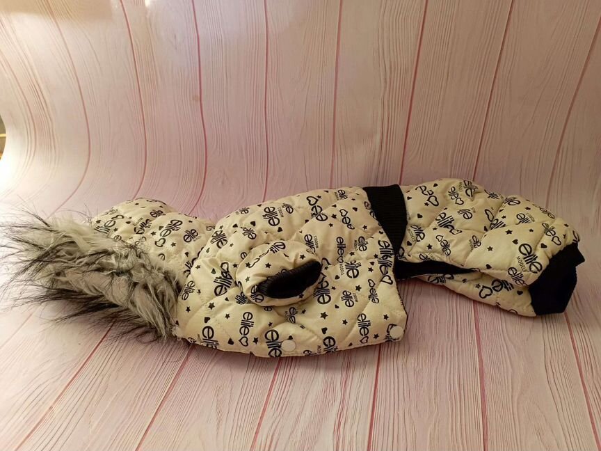 Новая одежда для собачки S