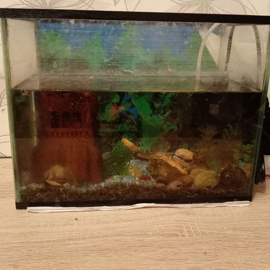 Аквариум 12 литров