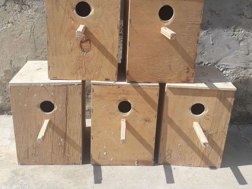 Домики для попугаев (дуплянки)