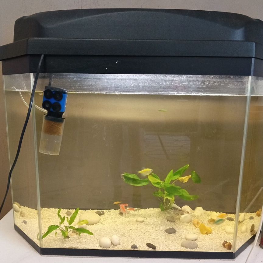 Аквариум 100л