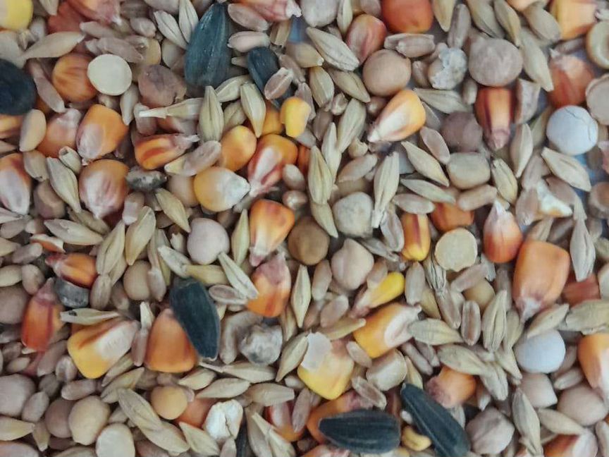 Зерносмесь