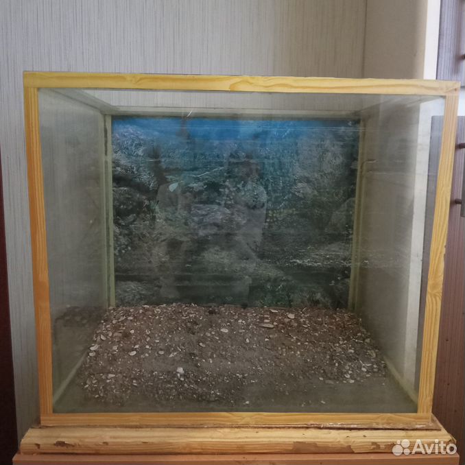 Аквариум бесплатно 120 литров