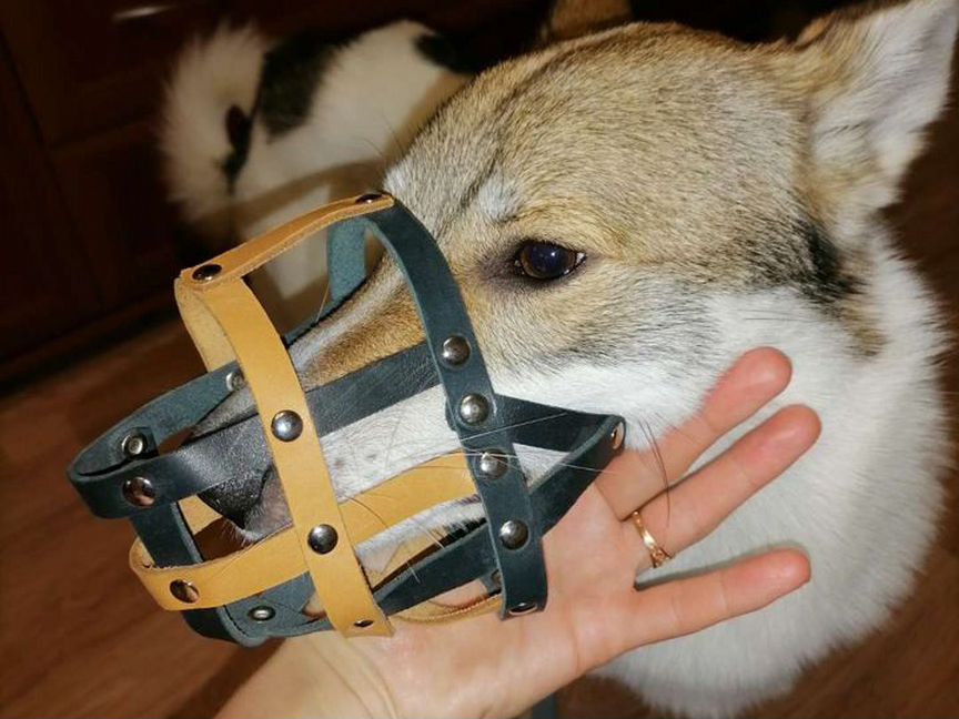 Намордник размер 2