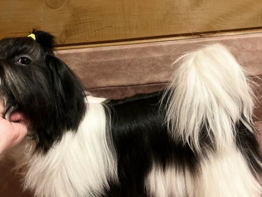 Шикарный парень