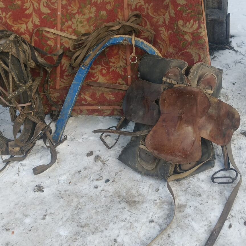 Сани, Сбруя, Седло