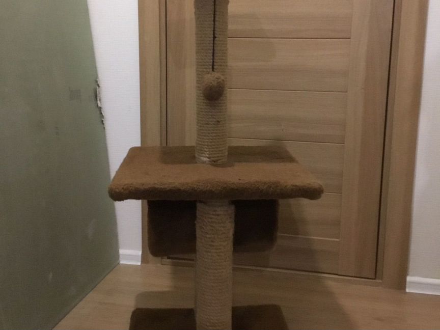 Когтеточка