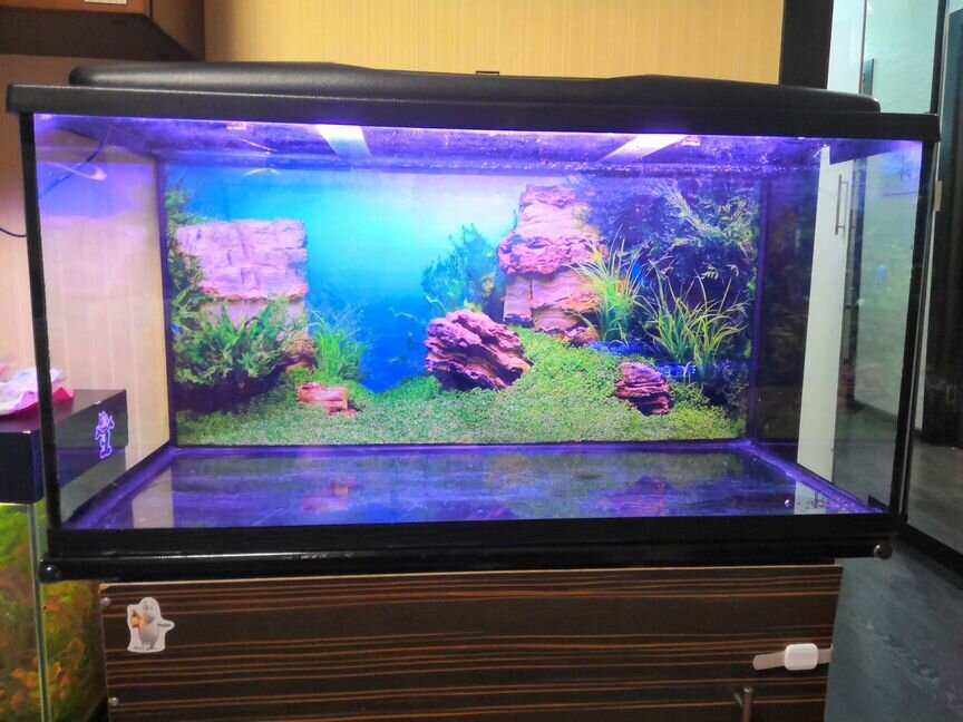 Аквариум 200л с тумбой