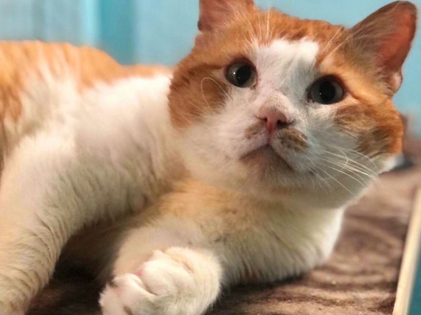 Очарованию нет предела. Где же мама