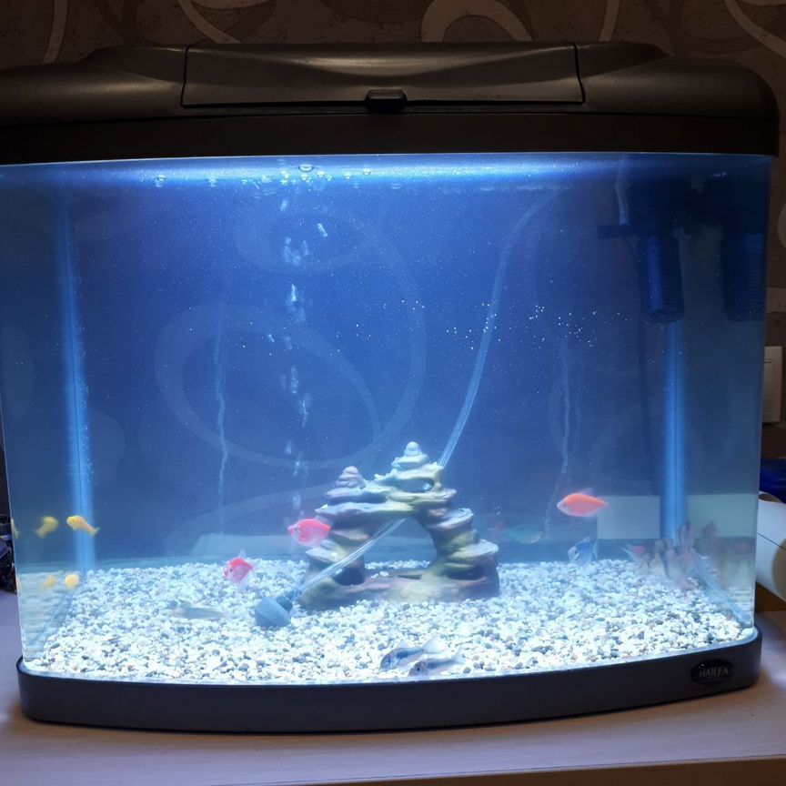 Аквариум полный комплект