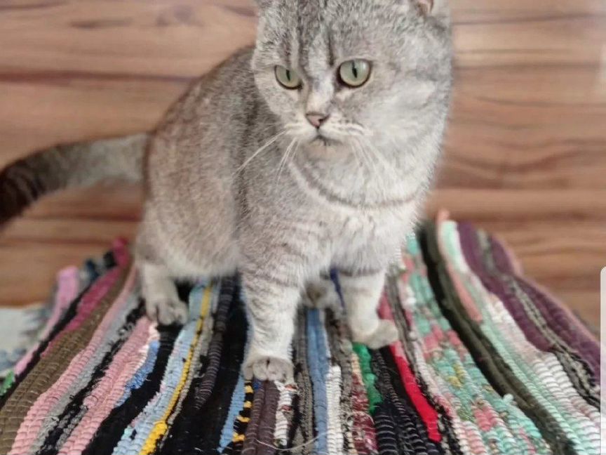 Британская