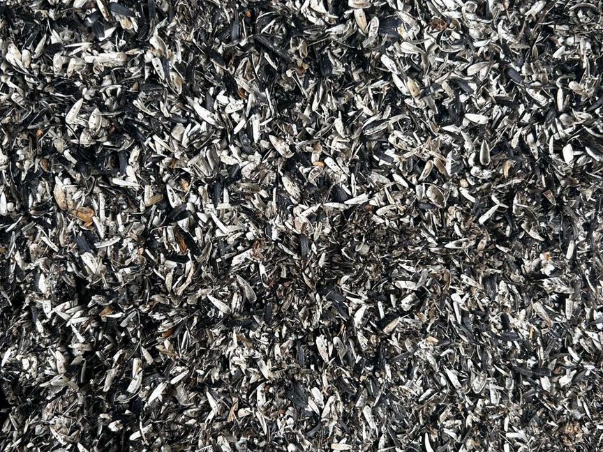 Лузга подсолнечника