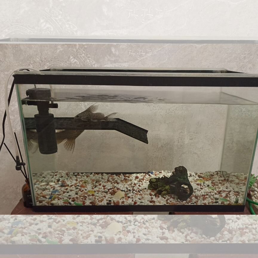 Продам аквариум с рыбками, аквариум 50л