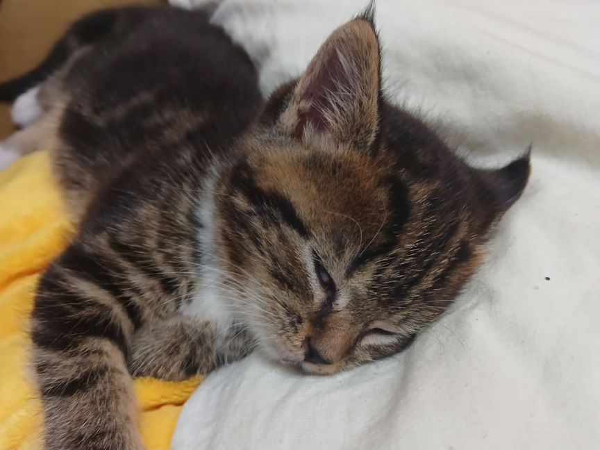 Кошелька в добрые руки