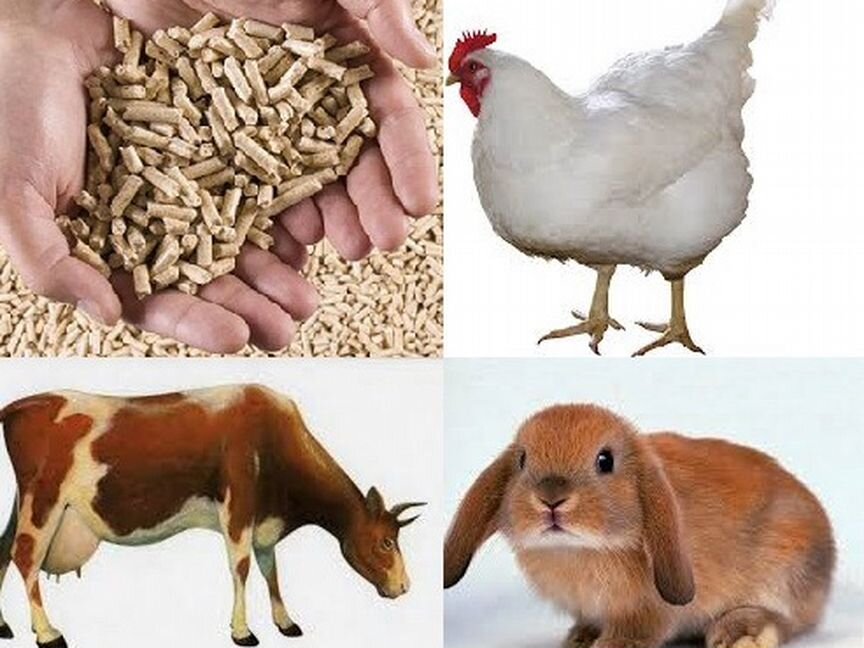 Комбикорм для цыплят,бройлеров,кроликов,крс,свиной