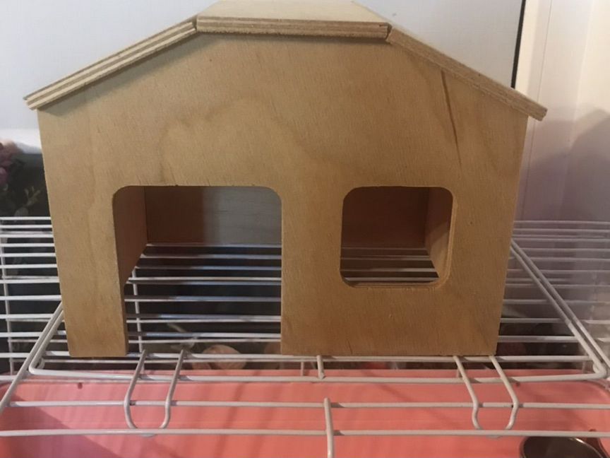 Домик для декоративного кролика