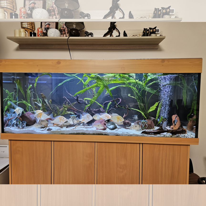 Аквариум 400л