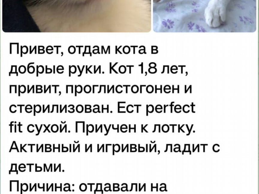 Очень нужен дом красавчику