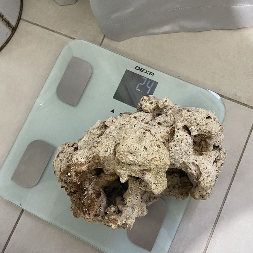 Морской аквариум