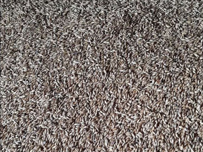 Ячменная зерносмесь