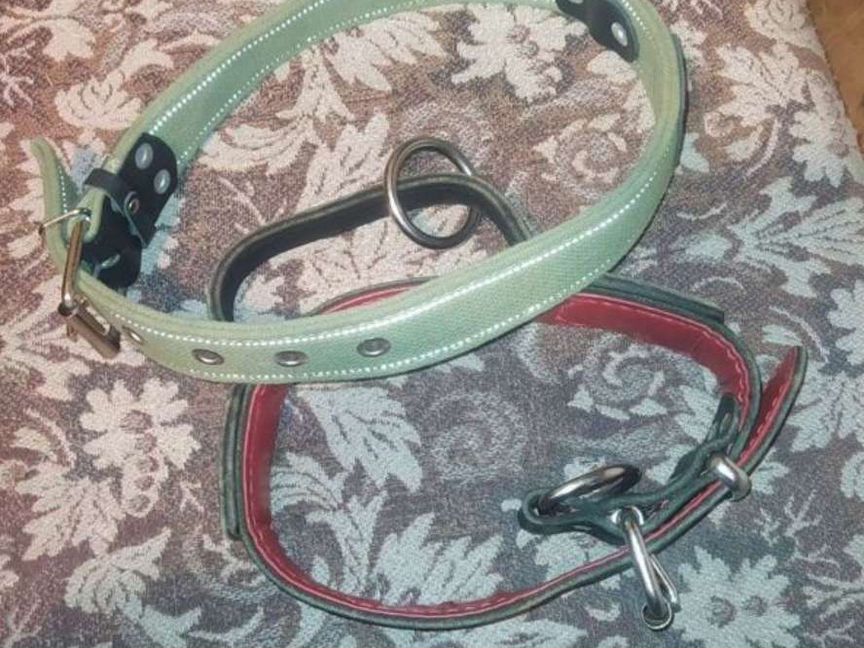 Ошейник для крупной собаки, 16 см