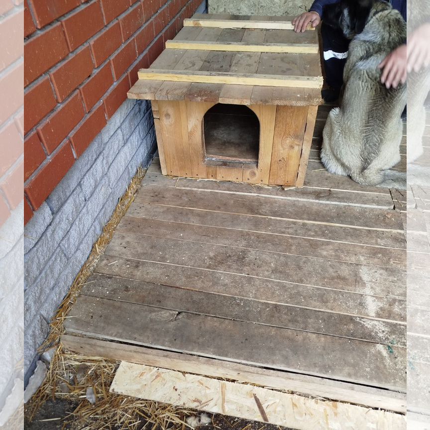 Будка для собаки утепленная