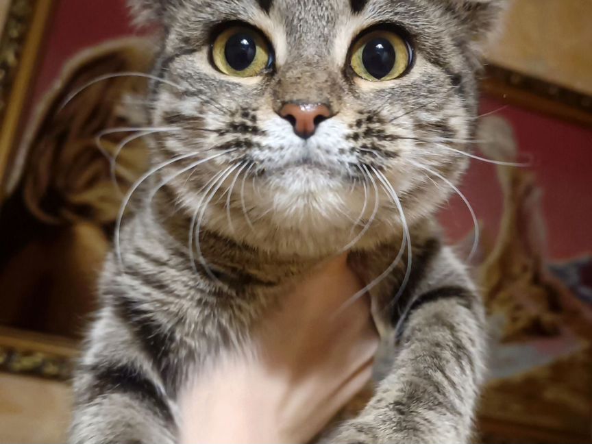 Самая Ласковая В Мире)