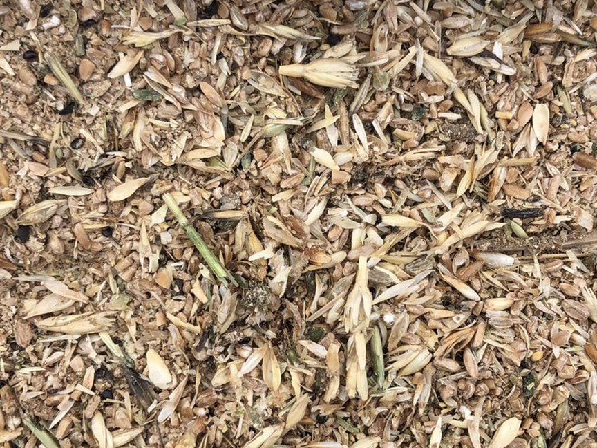 Отходы от пшеницы