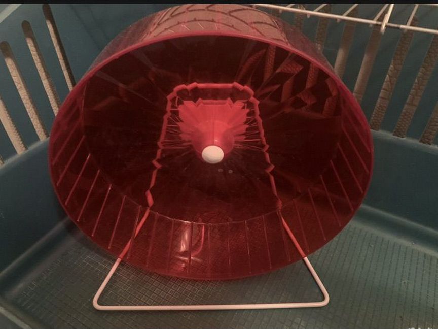 Колесо для грызунов