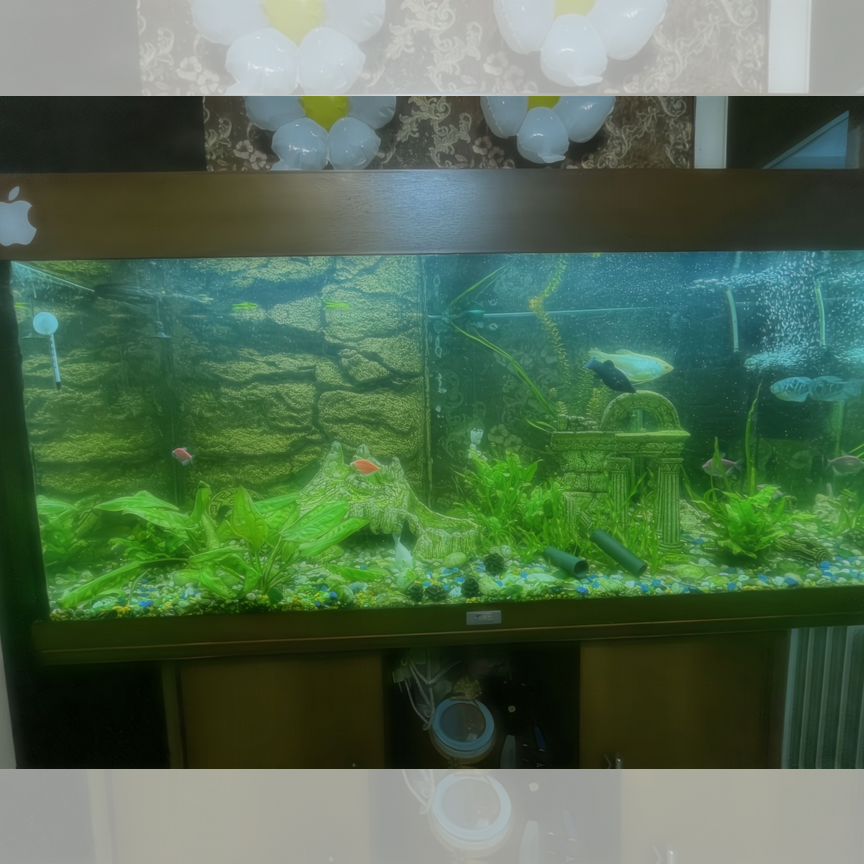 Аквариум германия 180л