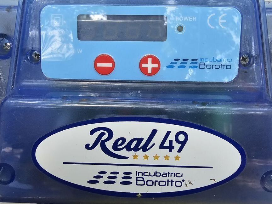 Инкубатор для яиц автоматический бу