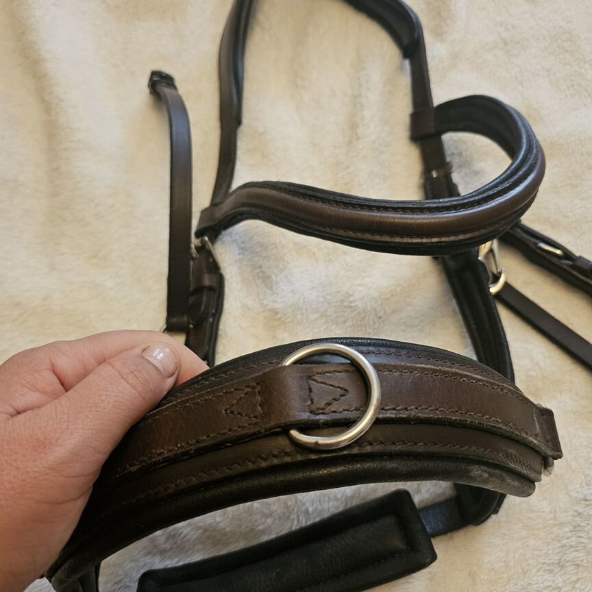 Кавессон для лошади