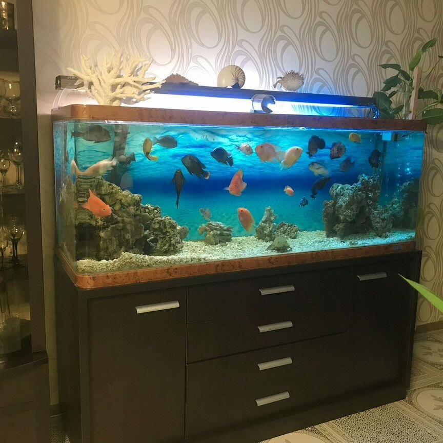 Аквариум с тумбой jebo