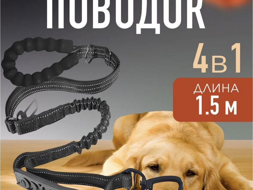 Поводок для собак