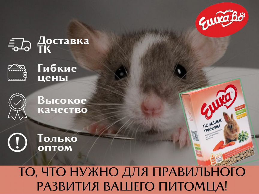 Купить корм для грызунов