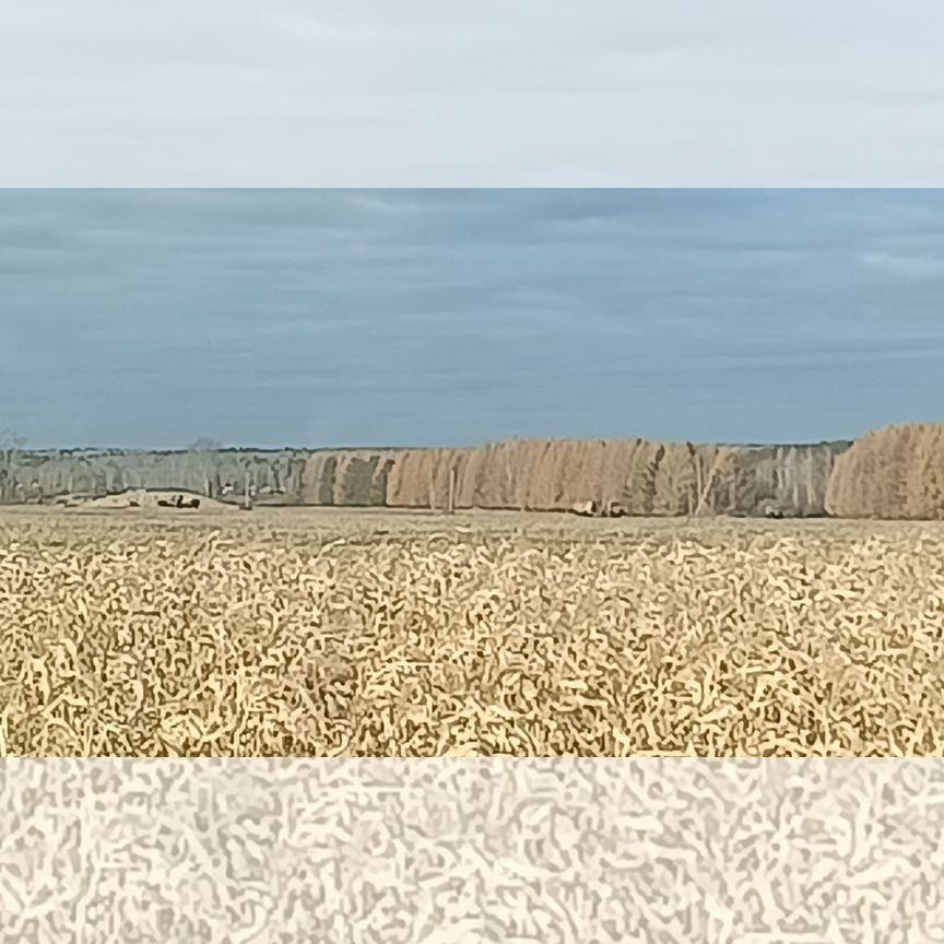 Сено, солома, комбикорм, премиксы от заводов